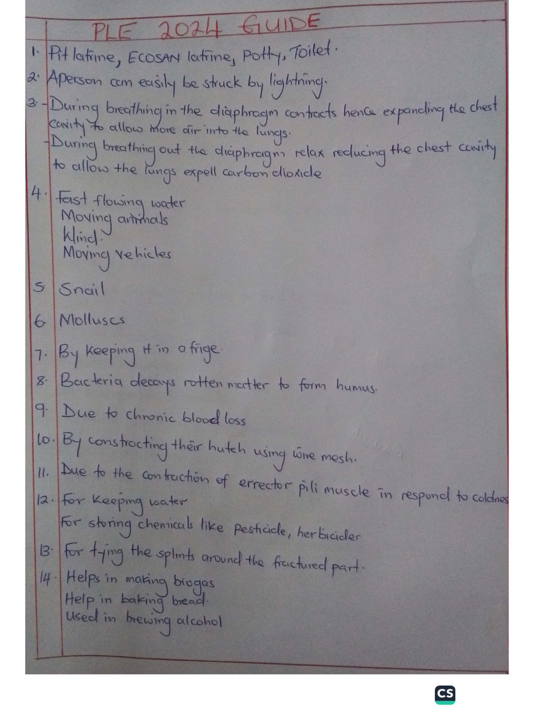 PLE 2024 GUIDE | PDF