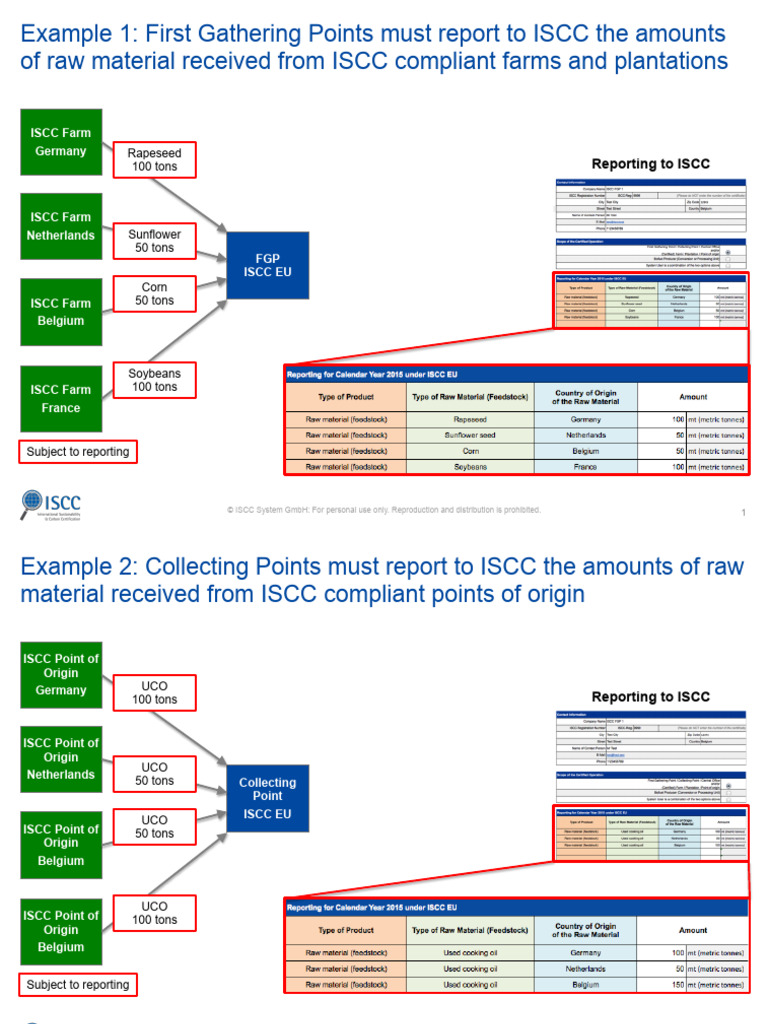 ISCC_EU_Reporting_Examples_July2016 | PDF | Biofuel | Palm Oil