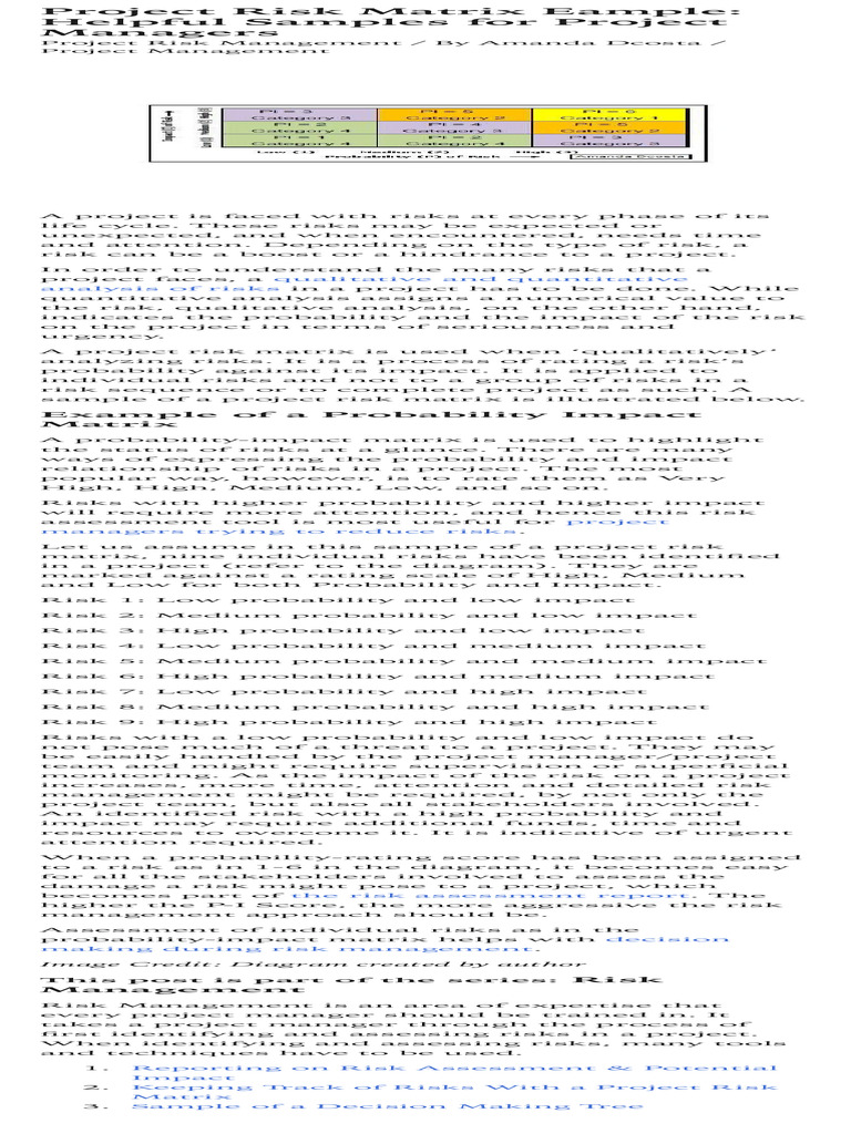 Project Risk Matrix Eample: Helpful Samples For Project Managers | PDF ...