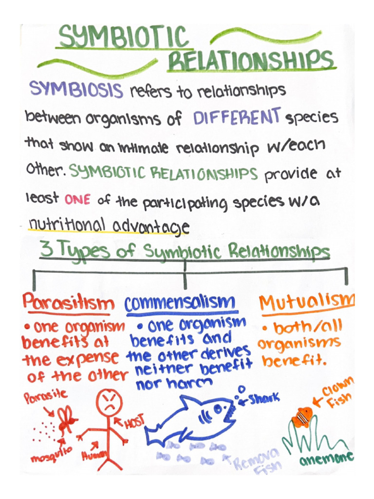 Symbiotic Relationships - Christina Darmo | PDF