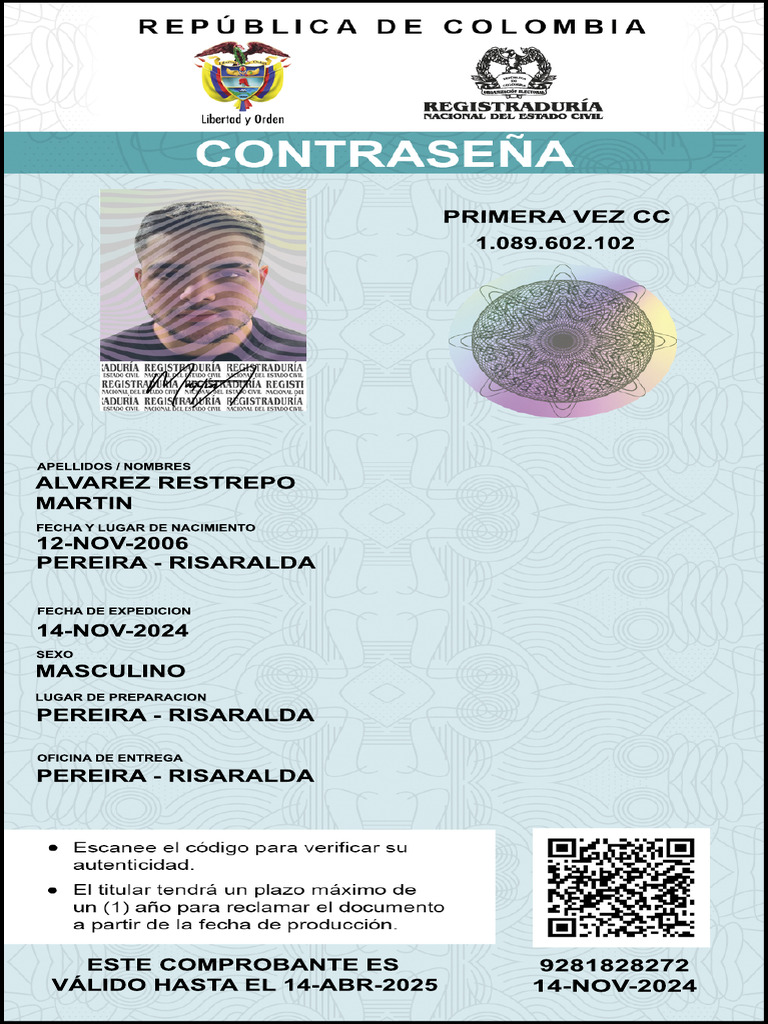 Comprobante de Documento en Tramite - Martin Alvarez | PDF