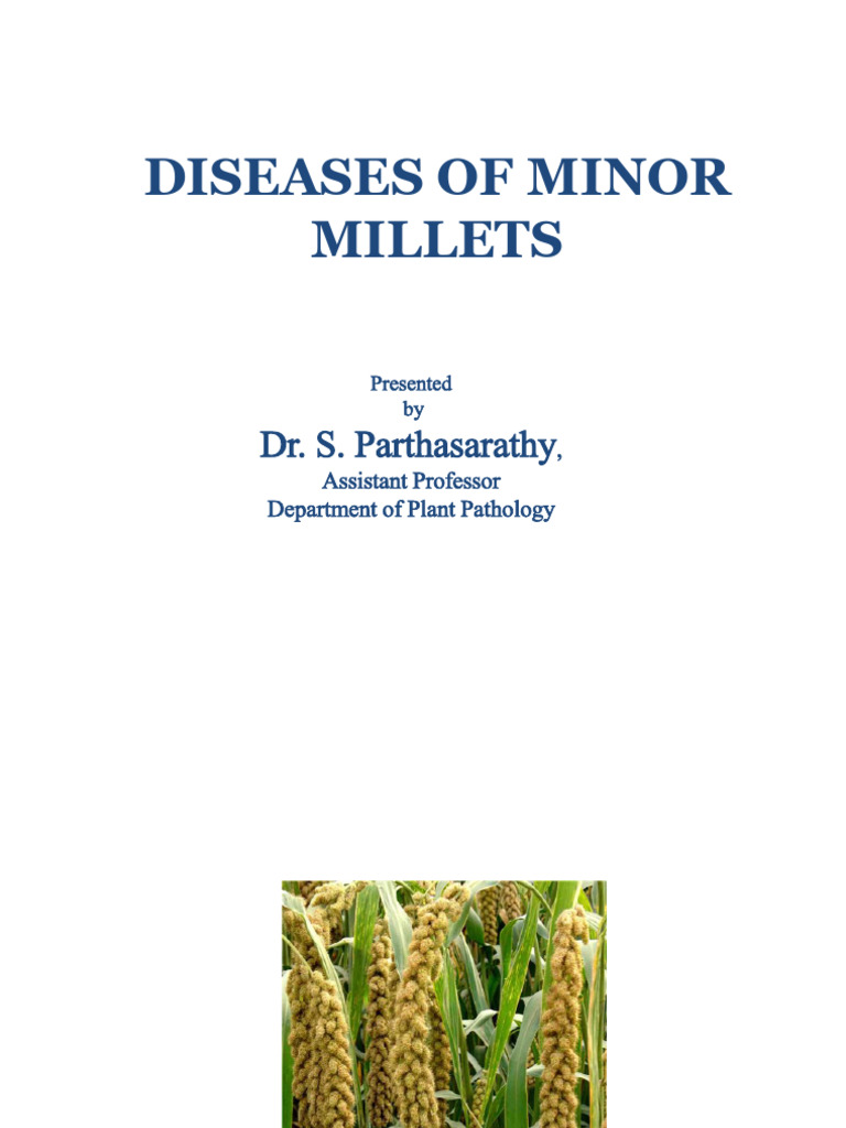 Diseases of Minor Millets Overview | PDF | Leaf | Plants