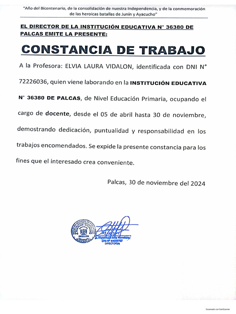 CamSca documentos | PDF