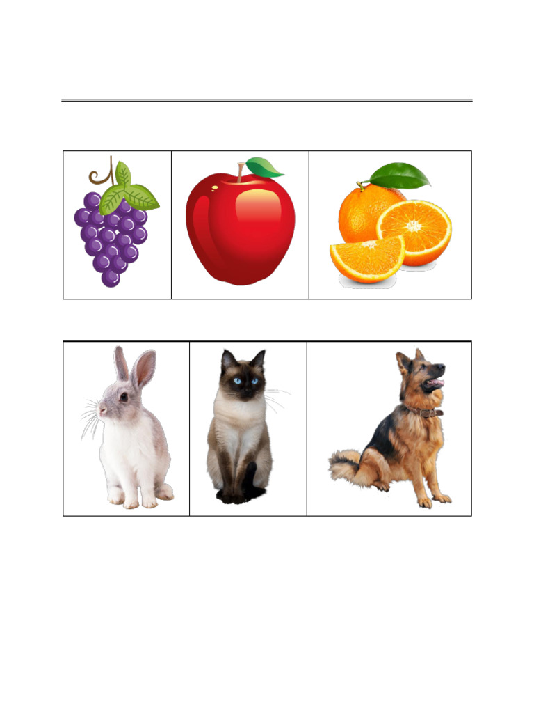 Diagnostic Test for Kids Learning | PDF