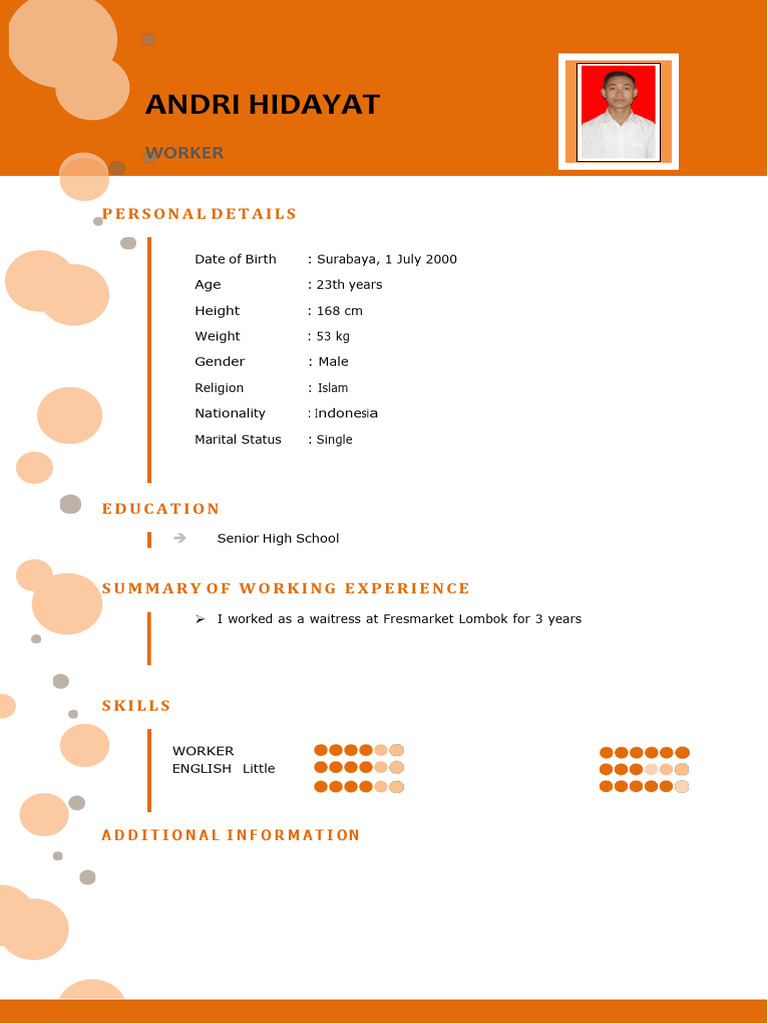 CV Andri Hidayat | PDF