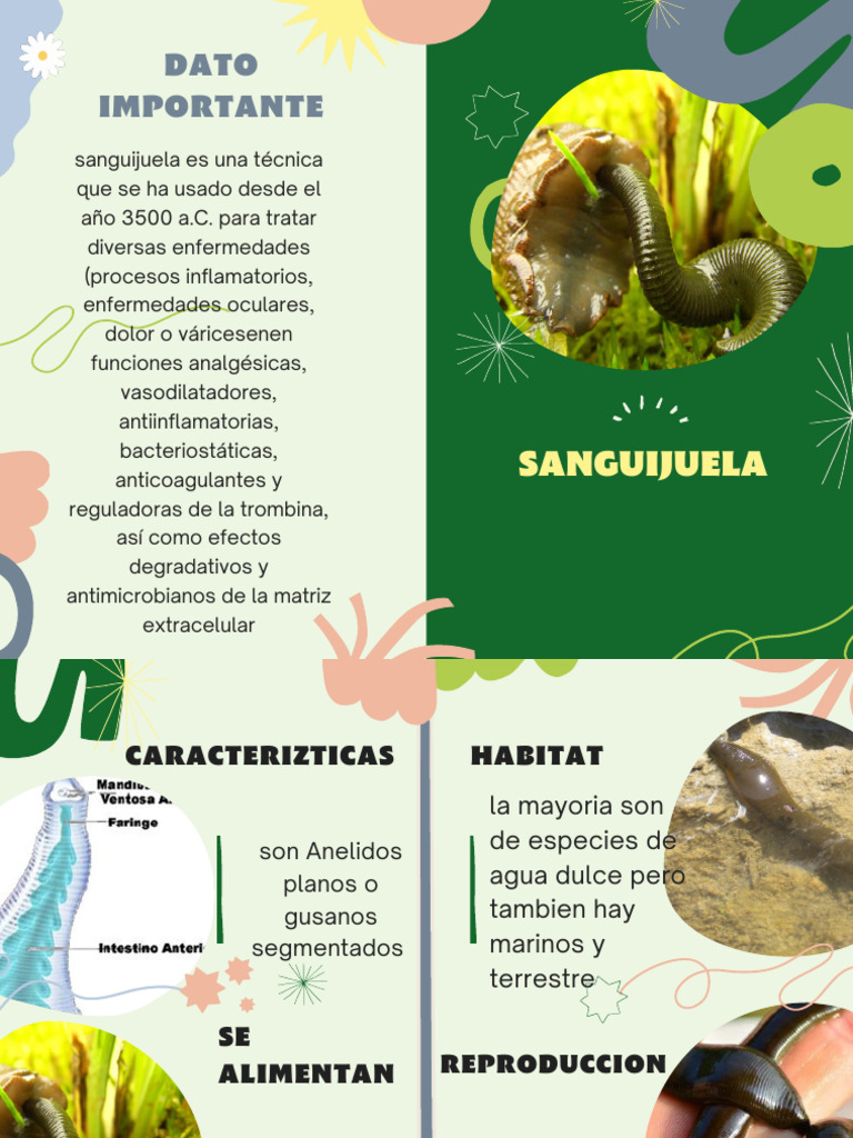 Folleto Díptico Flyer Taller Creativo Infantil Doodle Marrón y Blanco | PDF