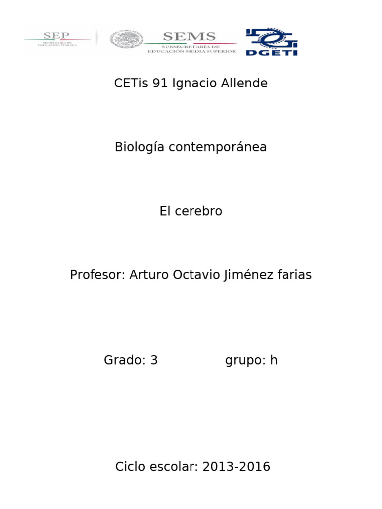 Cerebro Informacion Pdf Cerebro Hemisferio Cerebral