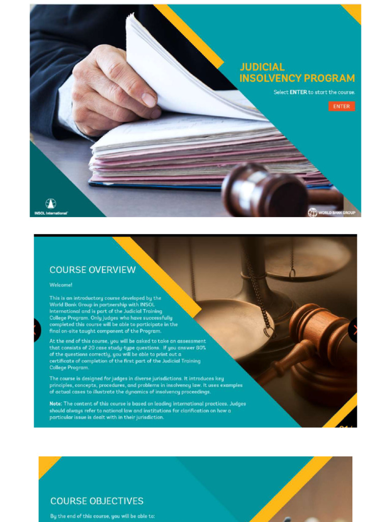 Judicial Insolvency Program - Overview | PDF