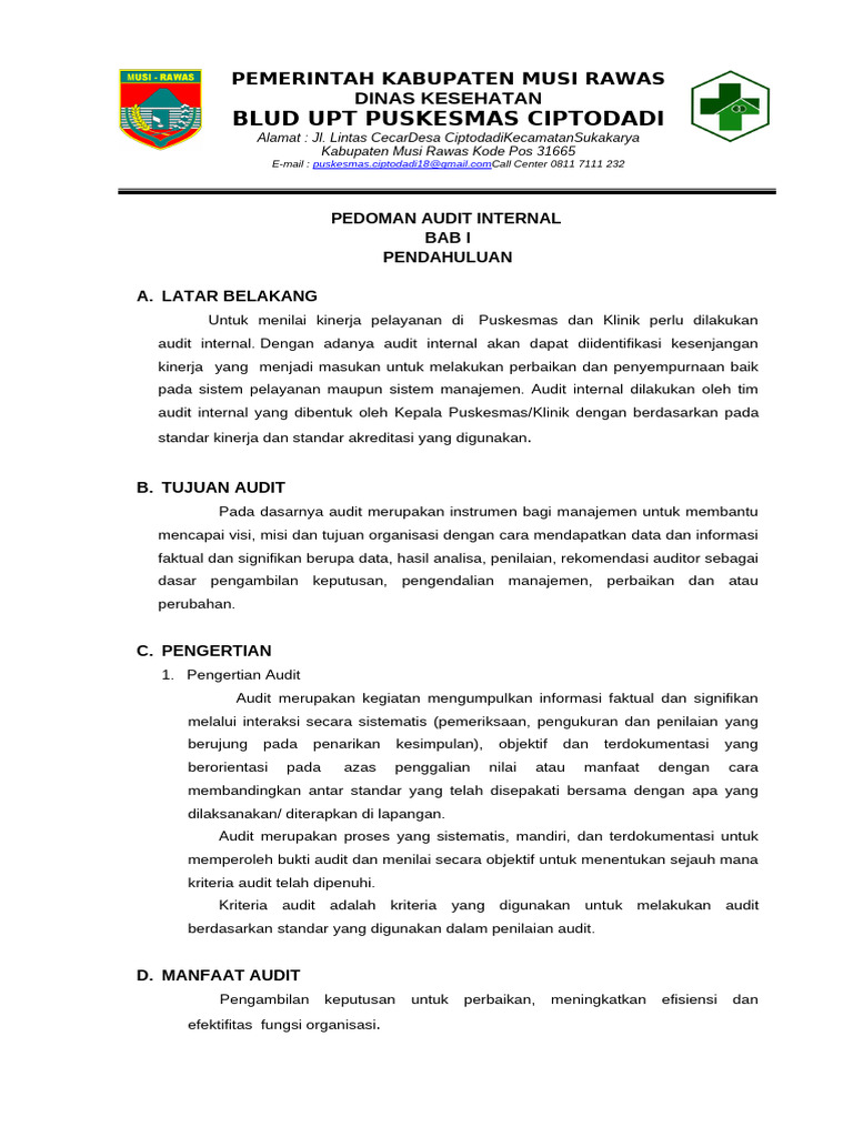 Pedoman Audit Internal Puskesmas Ciptodadi Pdf