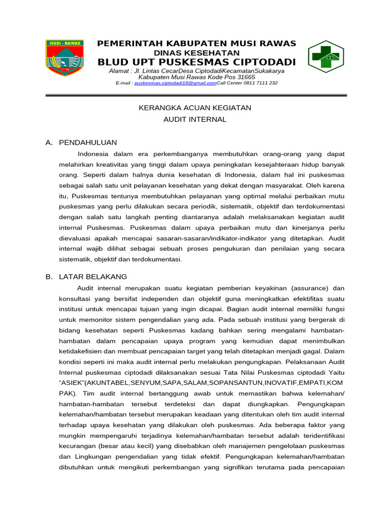 Kak Audit Internal | PDF