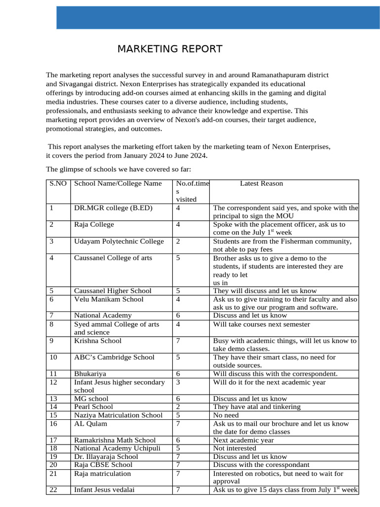 Marketing Report 2024 | PDF