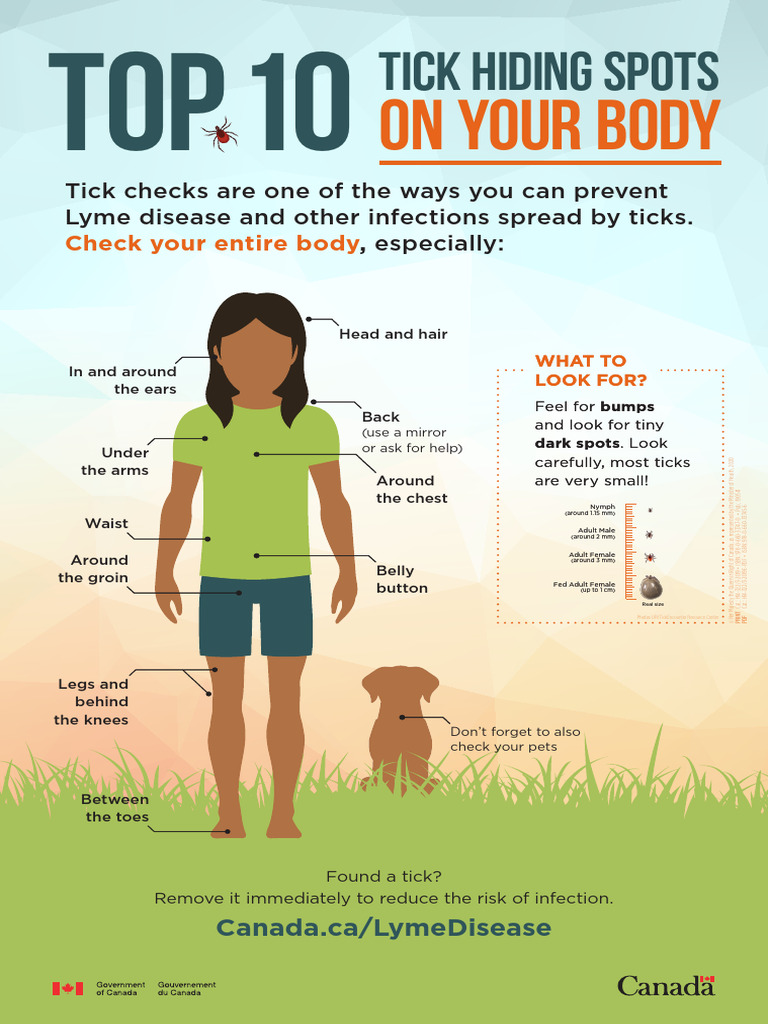 ENG - Lyme Disease Poster Top | PDF | Lyme Disease