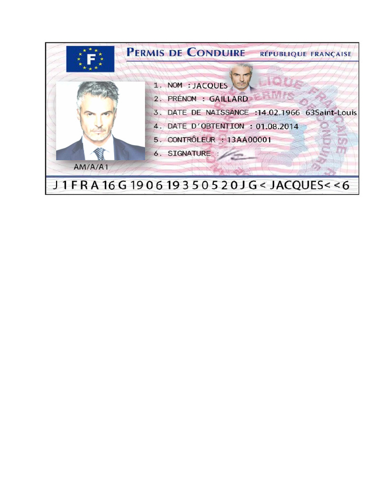 permis de conduire francais | PDF