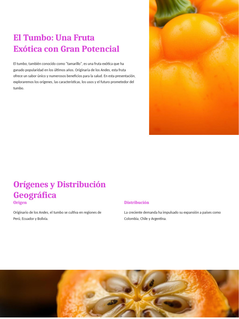 El Tumbo Una Fruta | PDF | Fruta | Agricultura
