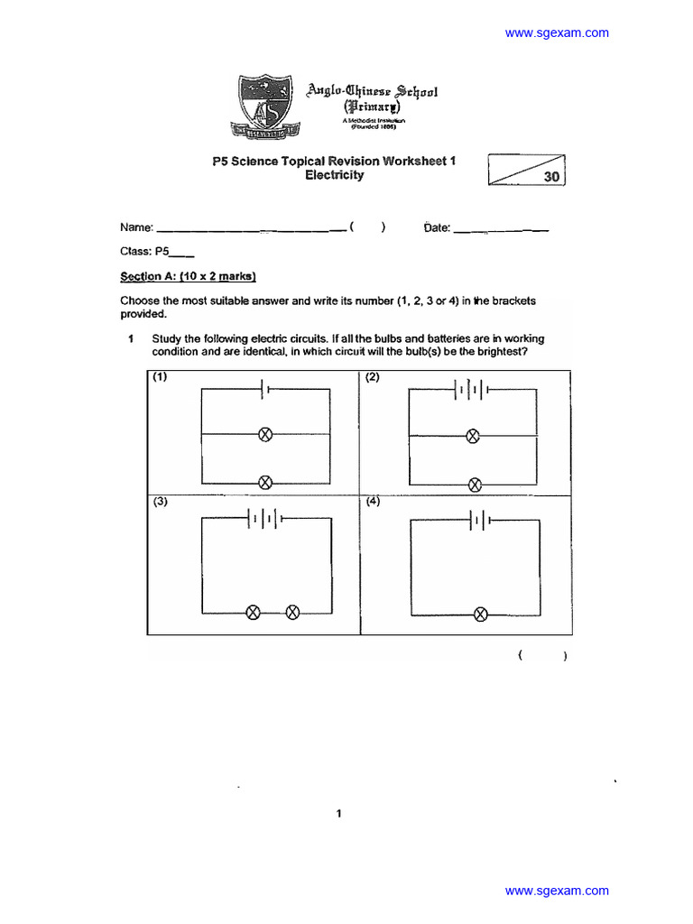 2023-P5-Science-Worksheet 1-ACSP | PDF