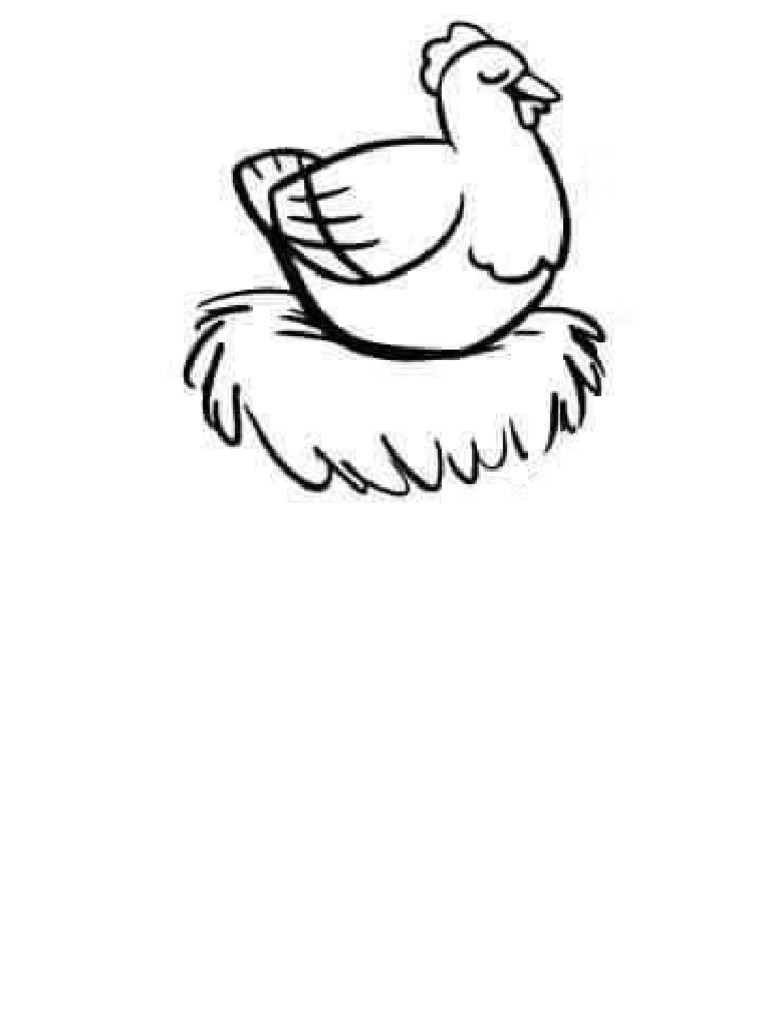 GALLINA | PDF