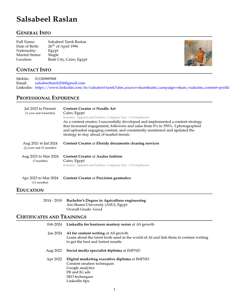 Salsabeel Raslan CV | PDF | Computing