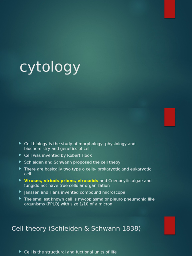 Cell Biology BSc | PDF | Endoplasmic Reticulum | Ribosome
