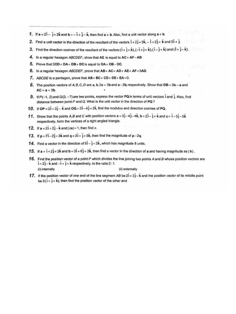 Vector Assignment | PDF