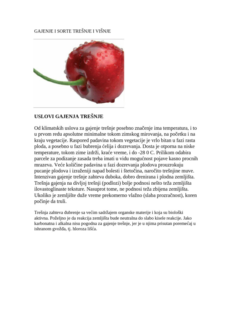 Gajenje I Sorte Trešnje I Višnje | PDF