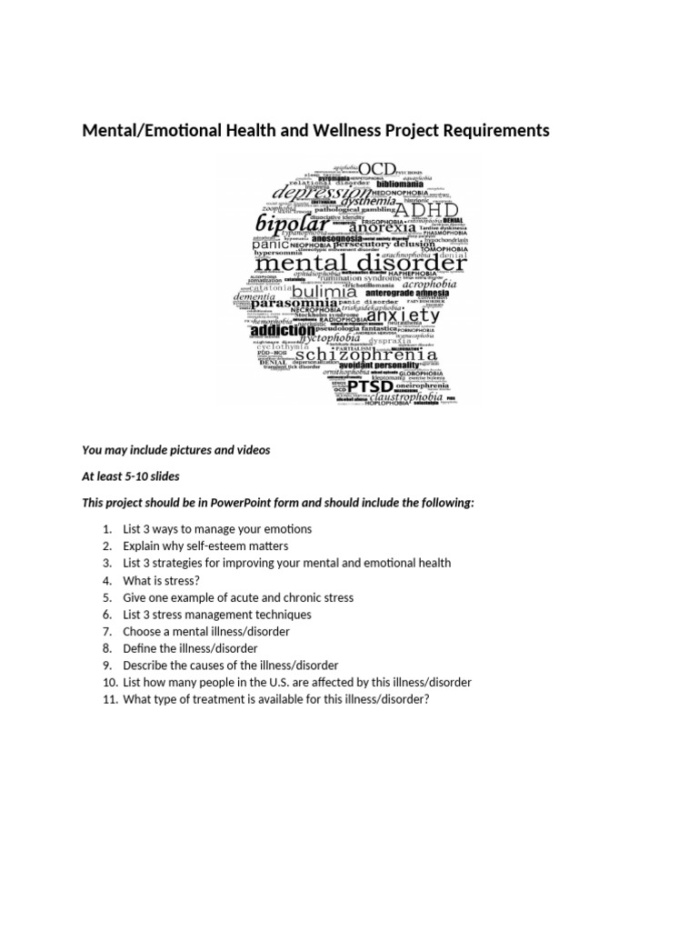 Mental Health Project Guidelines | PDF