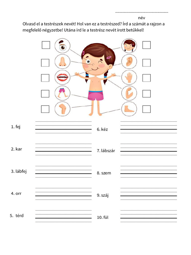 Testrészek. Írás - Környezet | PDF