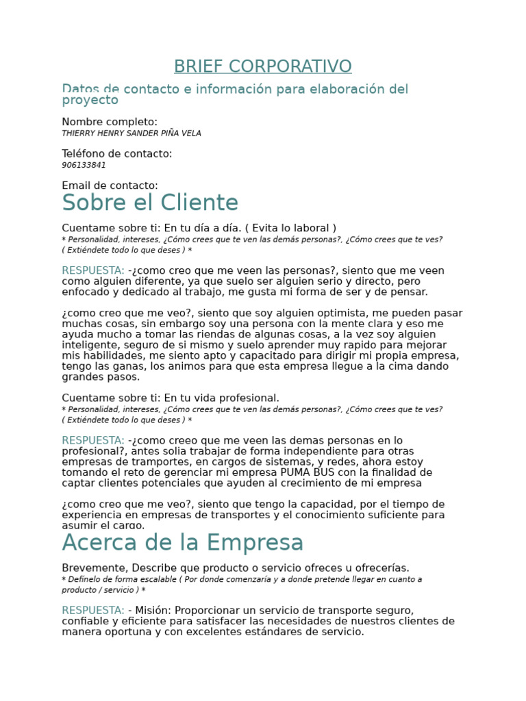 Brief Corporativo - David Poma 0 | PDF | Marca | Business