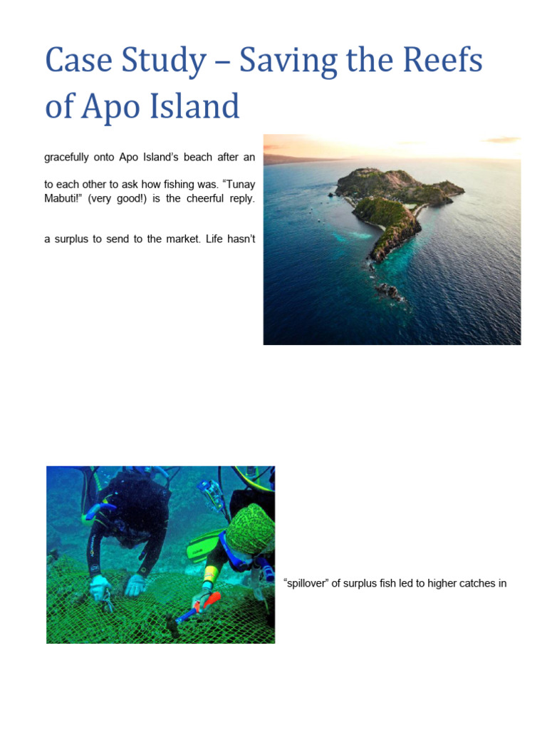 Apo Island's Marine Sanctuary Success | PDF | Coral Reef | Sustainability