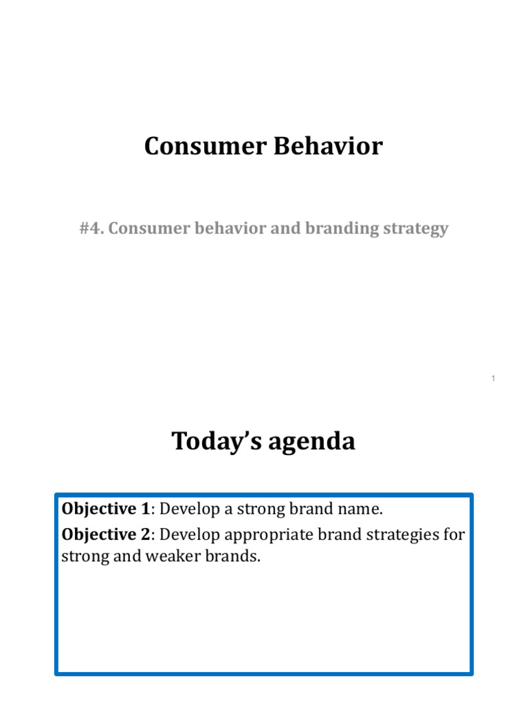 CB - Consumer Behavior & Branding Strategy | PDF | Brand | Consumer Behaviour