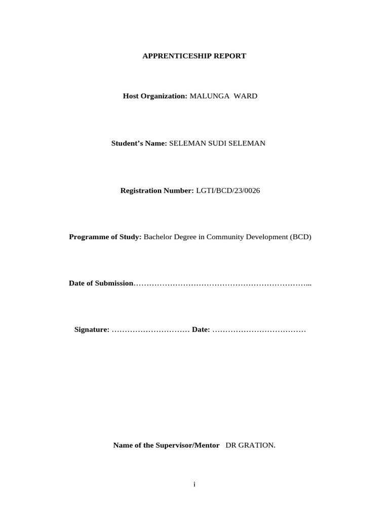 SELEMAN REPORT | PDF | Apprenticeship | Mentorship