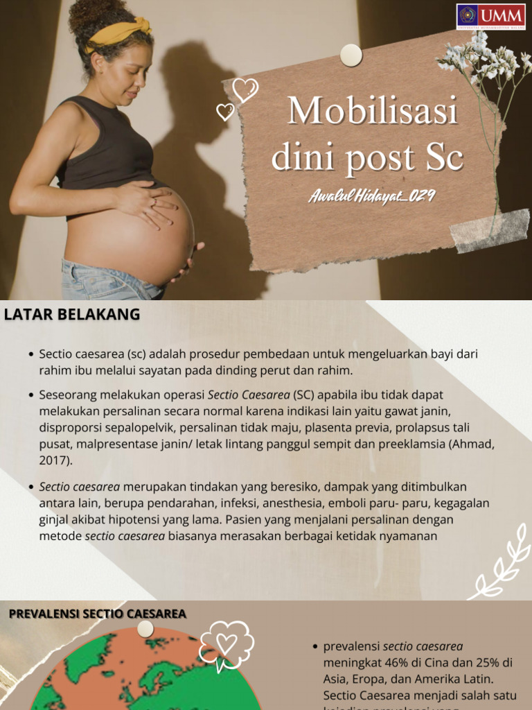 Awalul Hidayat_029 Ppt Rencana Kian | PDF