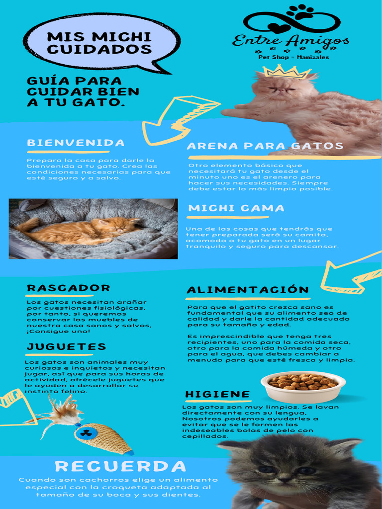 Entre Amigos Infografia | PDF