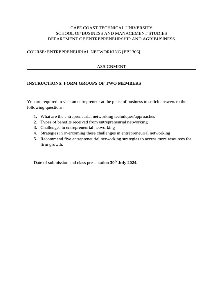 Entrepreneurial Networking Assignment Guide | PDF