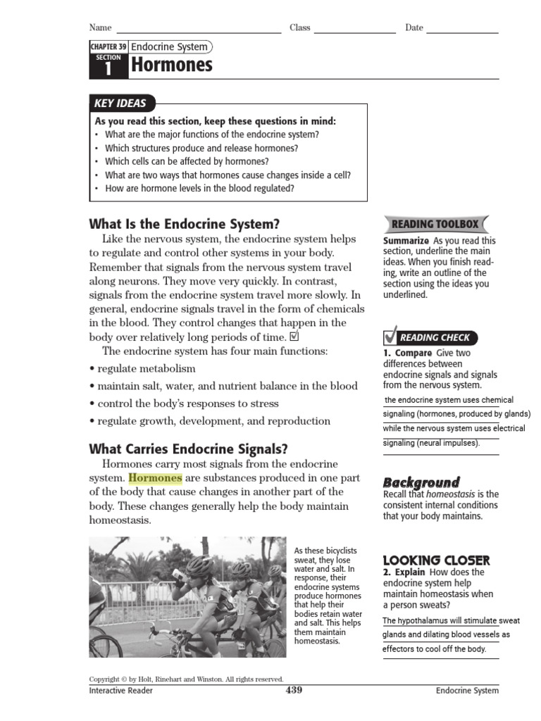 Reading-15-Endocrine System | PDF | Hormone | Endocrine System