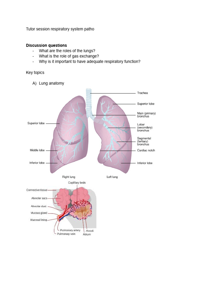 Respiratory System Patho Pdf Lung Respiratory System