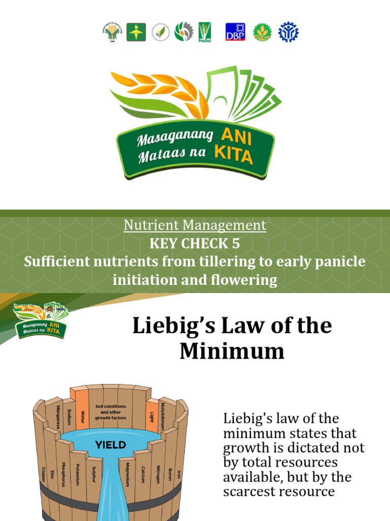 11 KeyCheck 5 Special Topic - Tools to assess nutrient deficiencies (MOET).pptx | PDF | Rice | Soil