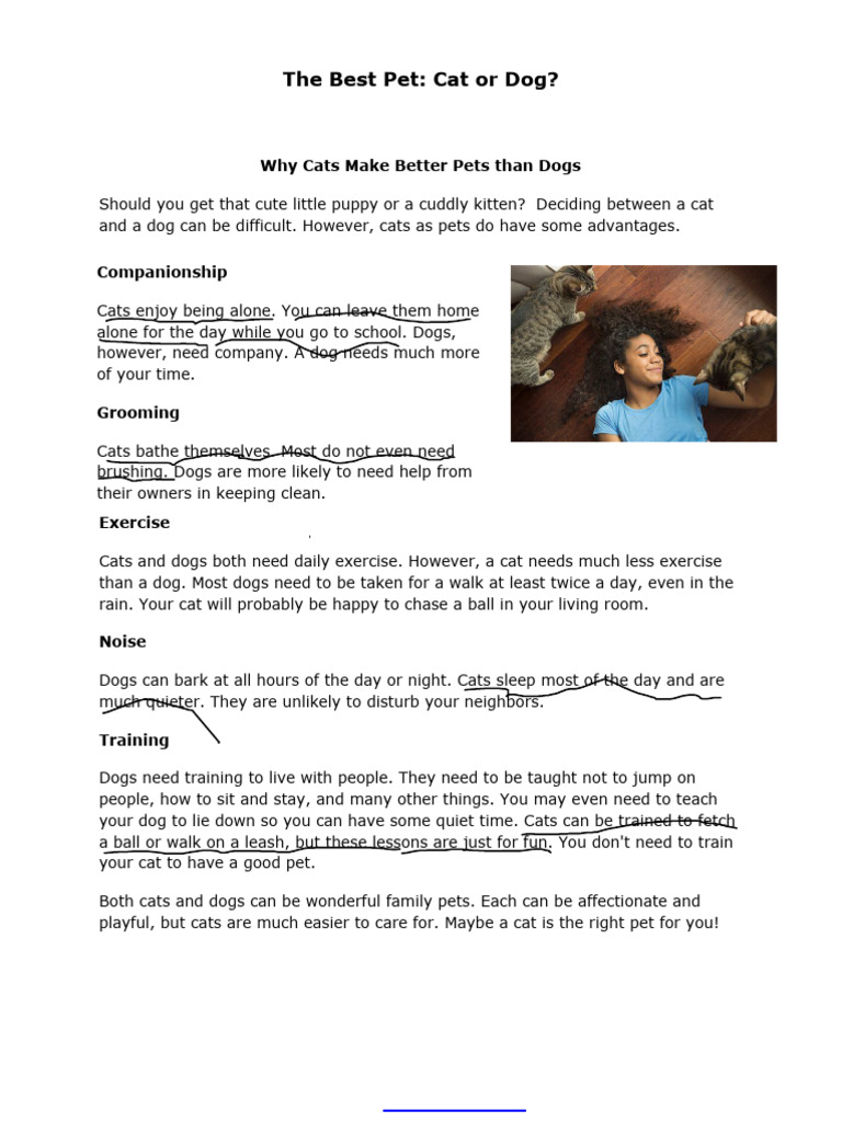 Alexander Thomas - Cats vs. Dogs Opinion Writing Assignment Kami | PDF ...