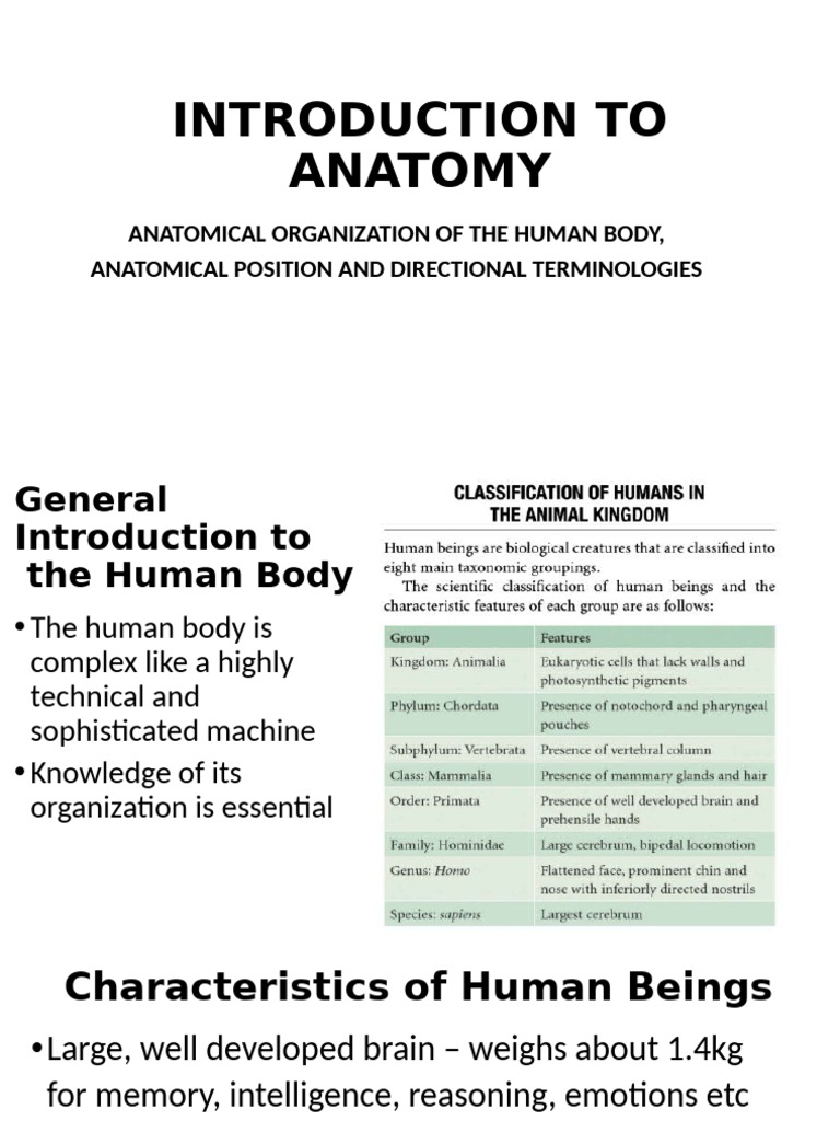 Anatomy: Body Organization & Terminology | PDF | Anatomical Terms Of ...