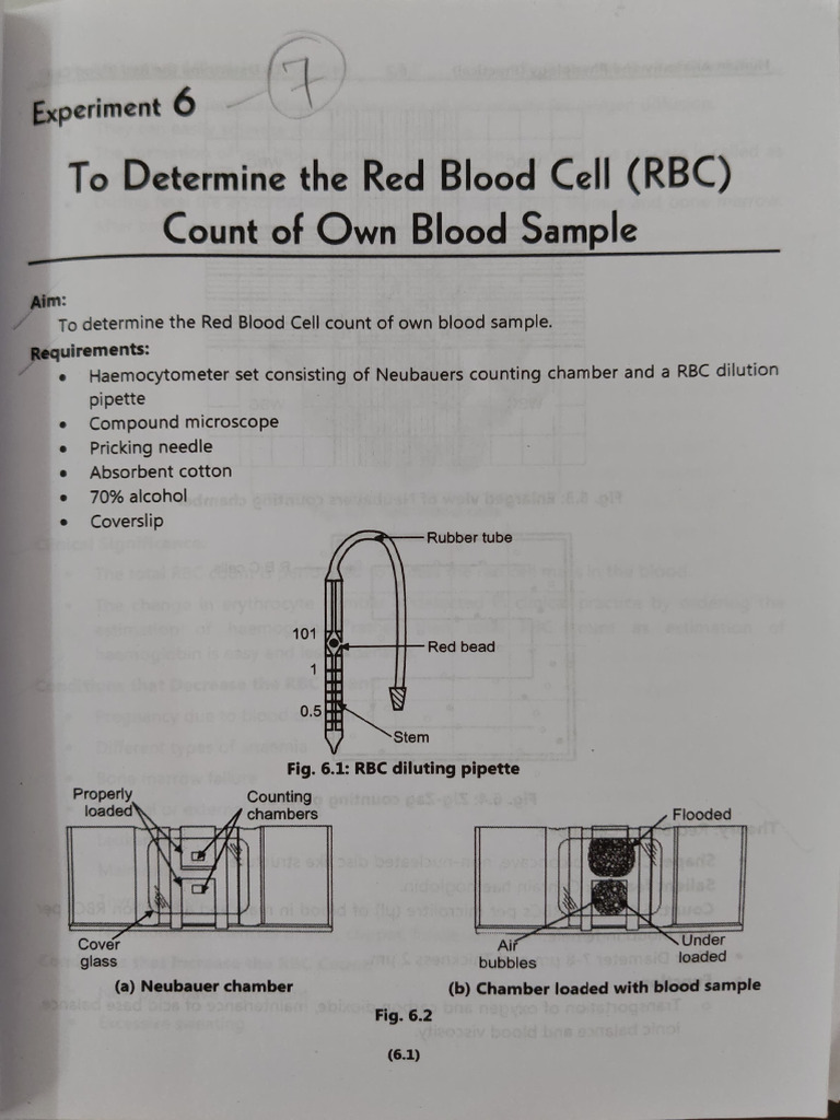 RBC Count Experiment Procedure | PDF | Red Blood Cell | Blood Cell
