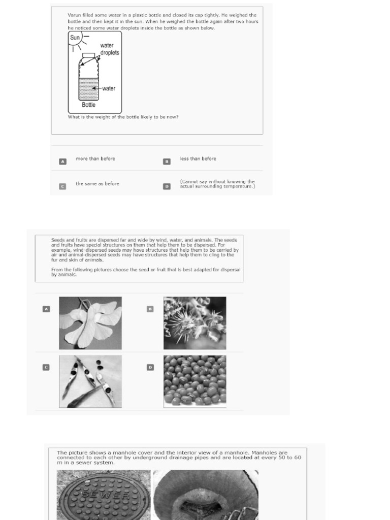 Set2 Asset-8 2023-24 Questions 1 | PDF