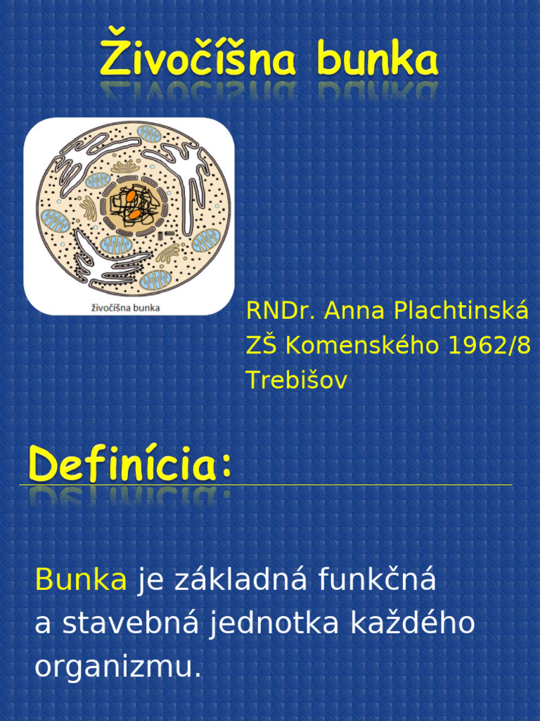 Živočíšna Bunka | PDF