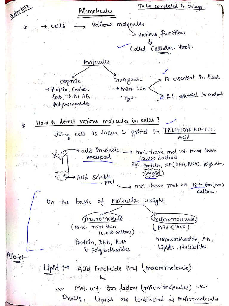Biomolecules 1 | PDF