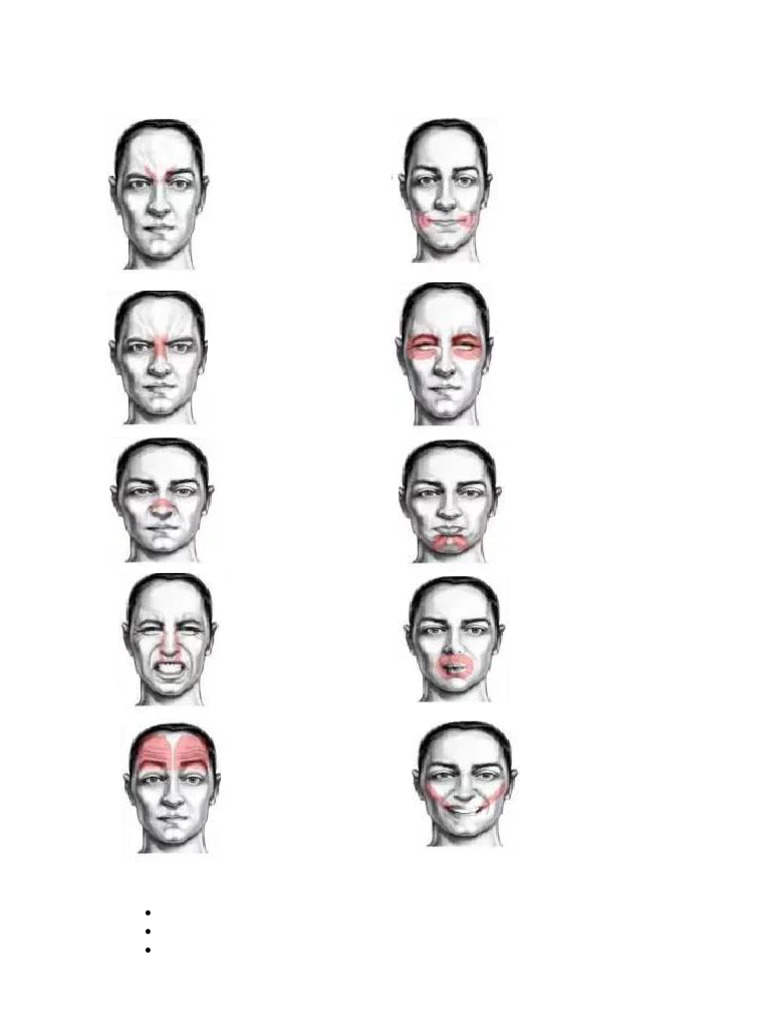 EJERCICIOS PARA PARALISIS FACIAL | PDF