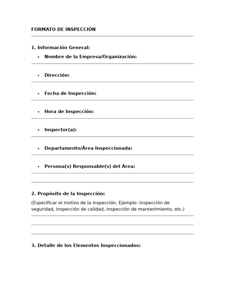 FORMATO DE INSPECCIÓN | PDF