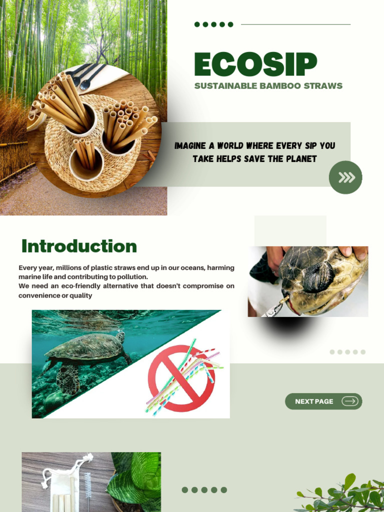 Project Ecosip | PDF