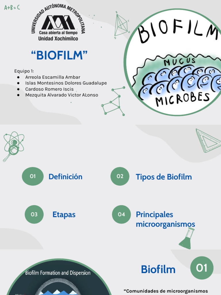 Biofilm | PDF | Biopelícula | Organismos