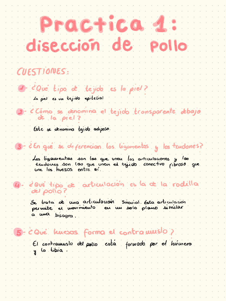 Informe práctica el pollo. | PDF