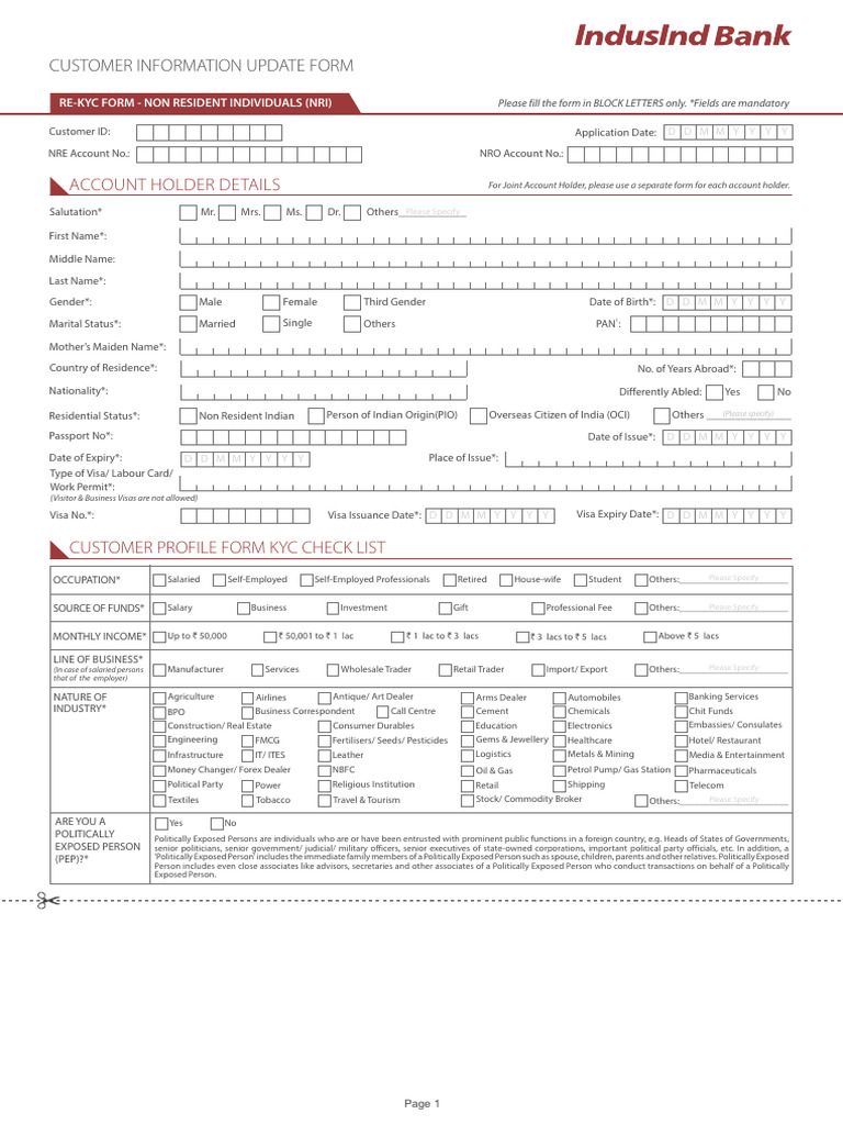 KYC Updation Form Non Resident Indian (NRI) Individual | PDF | Identity ...