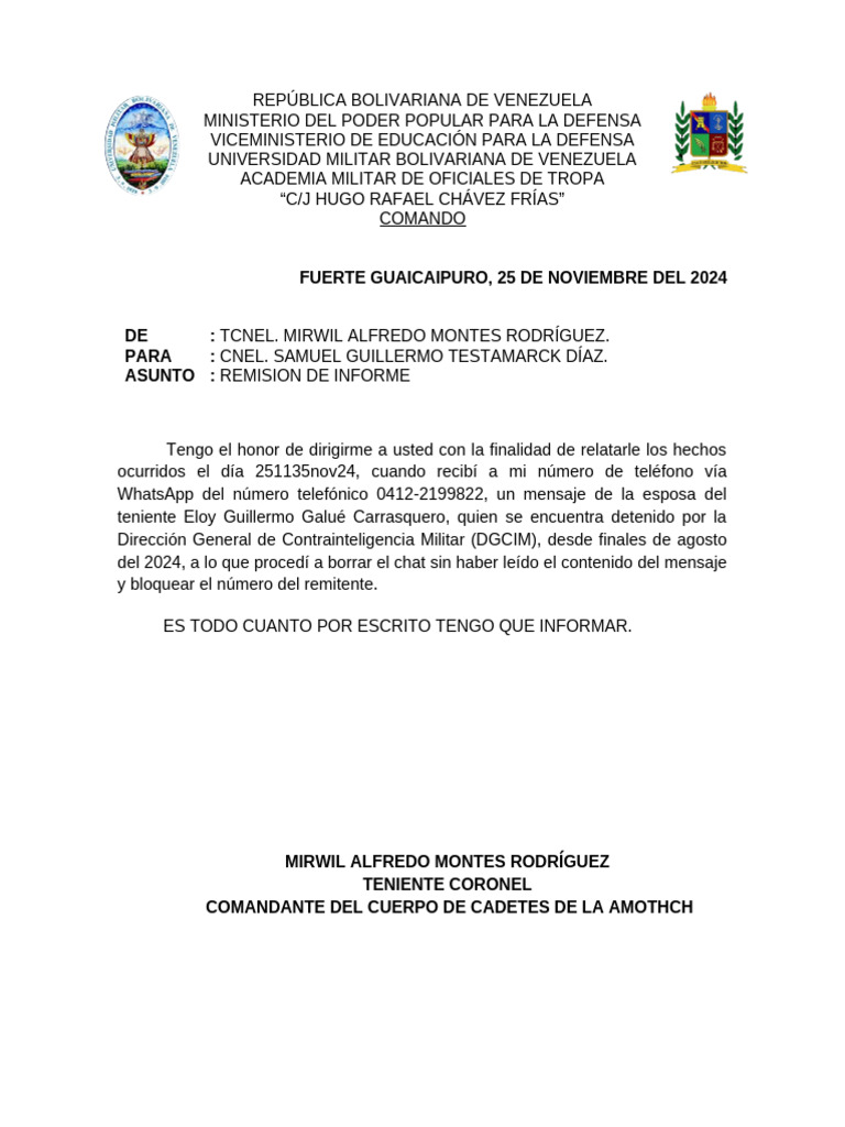 Informe Alejo | PDF | Venezuela