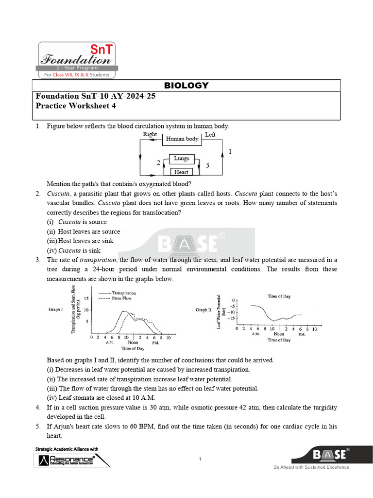 10th Biology Practice Worksheet 4 Q | PDF | Plants | Physiology